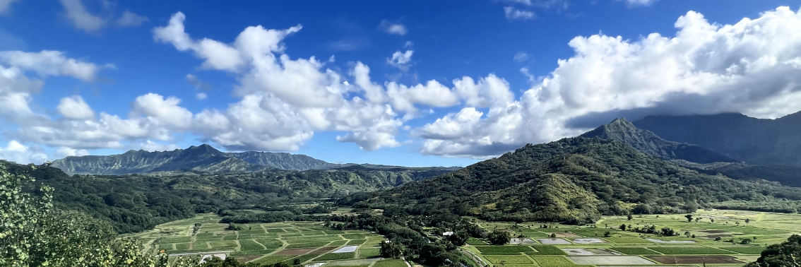 Daniel Rouleau (@danielrouleau@dotnet.social) - dotnet.social