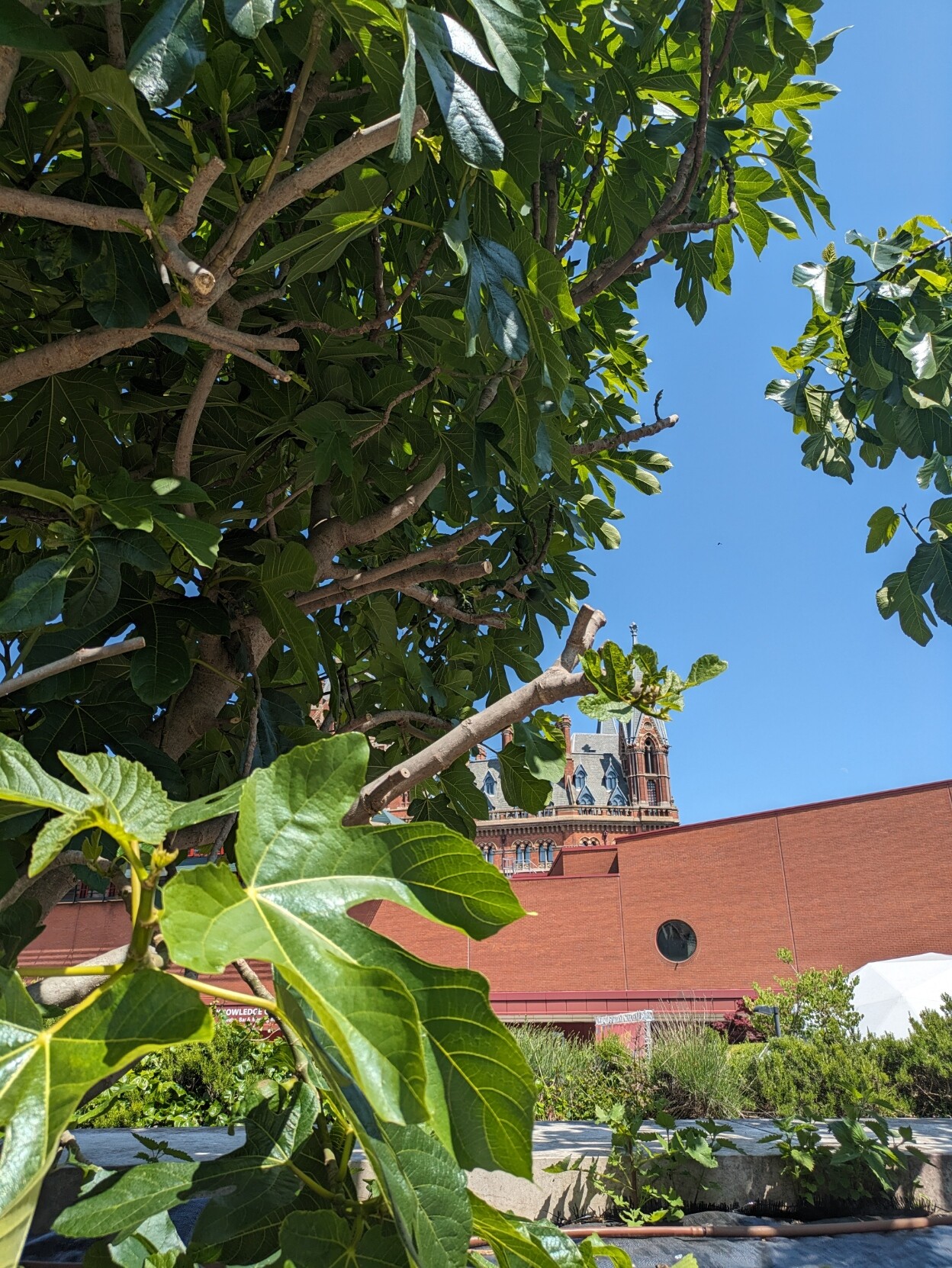 Lamparter (@Lamparter@dotnet.social) - dotnet.social